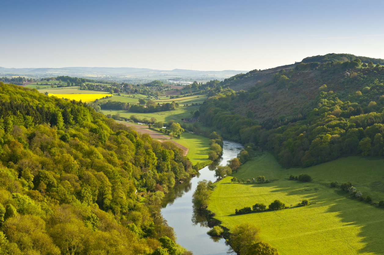 Best Walks In The Forest of Dean | Top 10 Mapped Rou...